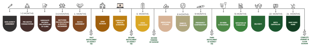 What is the surrogate process- Alcea Surrogacy