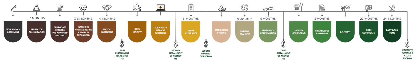 What is the surrogate process- Alcea Surrogacy